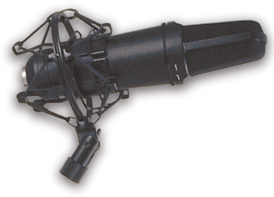 Microphone — AMERICAN RECORDER TECHNOLOGIES, INC.